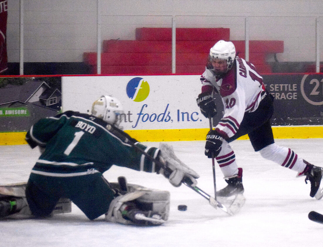 Area roundup: Fairmont falls to Faribault | News, Sports, Jobs ...